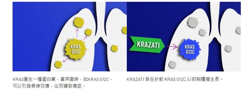《KRAS*》三分之一癌症由 KRAS 基因突變引起!! 突破「不可成藥」魔咒的 KRAS，安進、施貴寶、羅氏 、諾華、禮來(Eli ...